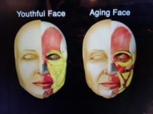 The Aging Process and Fat Pad Migration - Buffalo Aesthetics